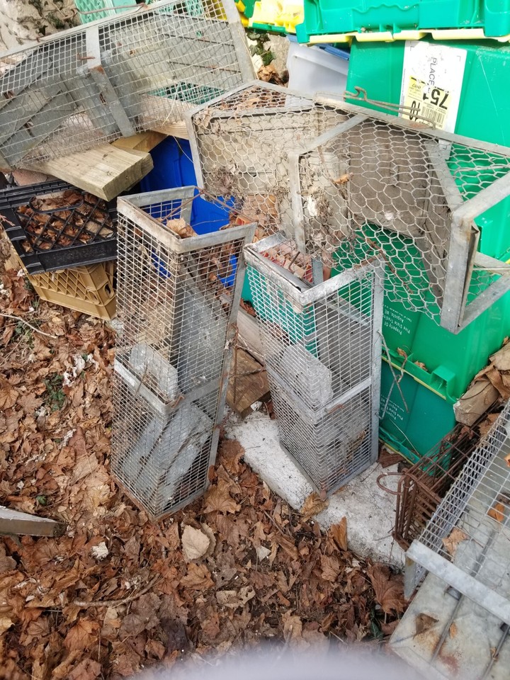 Havahart Style Trap Traps 12 Squirrel,Racoons,Large Small Some Need ...