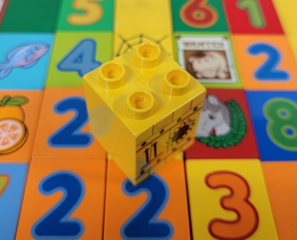 LEGO DUPLO Lot of 60 2x2x2 (Double Height Bricks) Mixed Colors SE18J | eBay