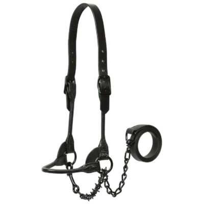 Cattle - Beef - Cattle Show Halter
