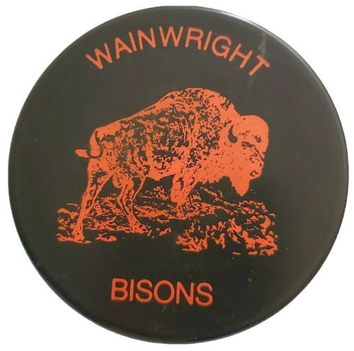 WAINWRIGHT BISONS VINTAGE RARE OFFICIAL HOCKEY PUCK MADE IN 🇨🇿 | eBay