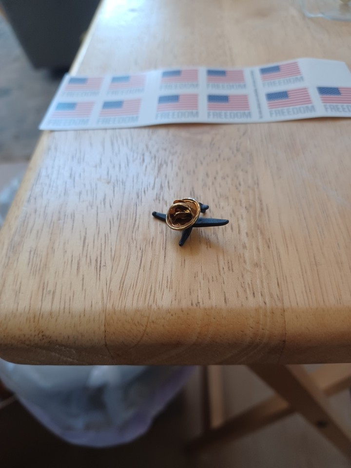 Lockheed Martin Skunk Works U2 Dragon Lady Pin | eBay