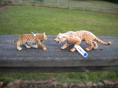 LEOPARD & CUB by Safari Ltd; toy/cat/leopards/ | eBay