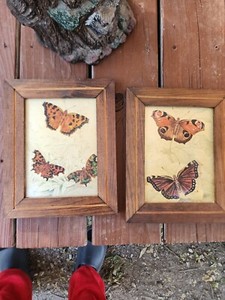 Victoria Vintage8421 | eBay Stores