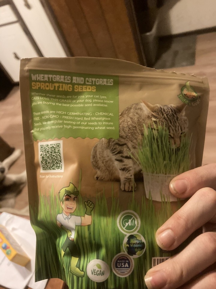 Wheatgrass - Cat Grass - Seeds - Non Gmo - Heirloom Seeds – Wheatgrass ...