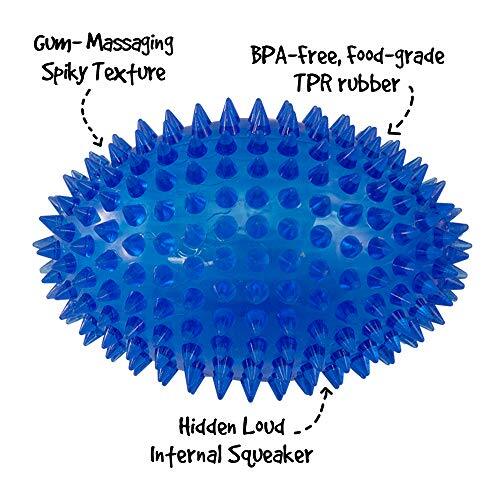 Gnawsomeâ„¢ 4.5â€ Spiky Squeaker Football Dog Toy - Large, Cleans Teeth ...