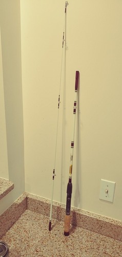 vintage shakespeare Wonderod Professional #PB A 500 M 6' Cast Rod | eBay