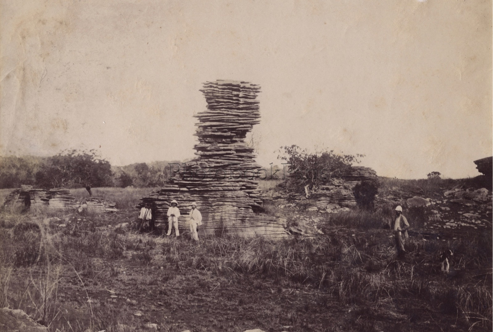 Madagascar Dower-Castle Diego Suarez Antsiranana Vintage Albumin Ca ...