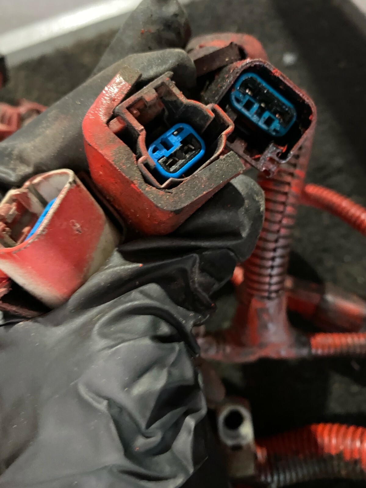 OEM Cummins ISX15 Engine Wiring Harness, 3688775, 4373989, 5339312 ...