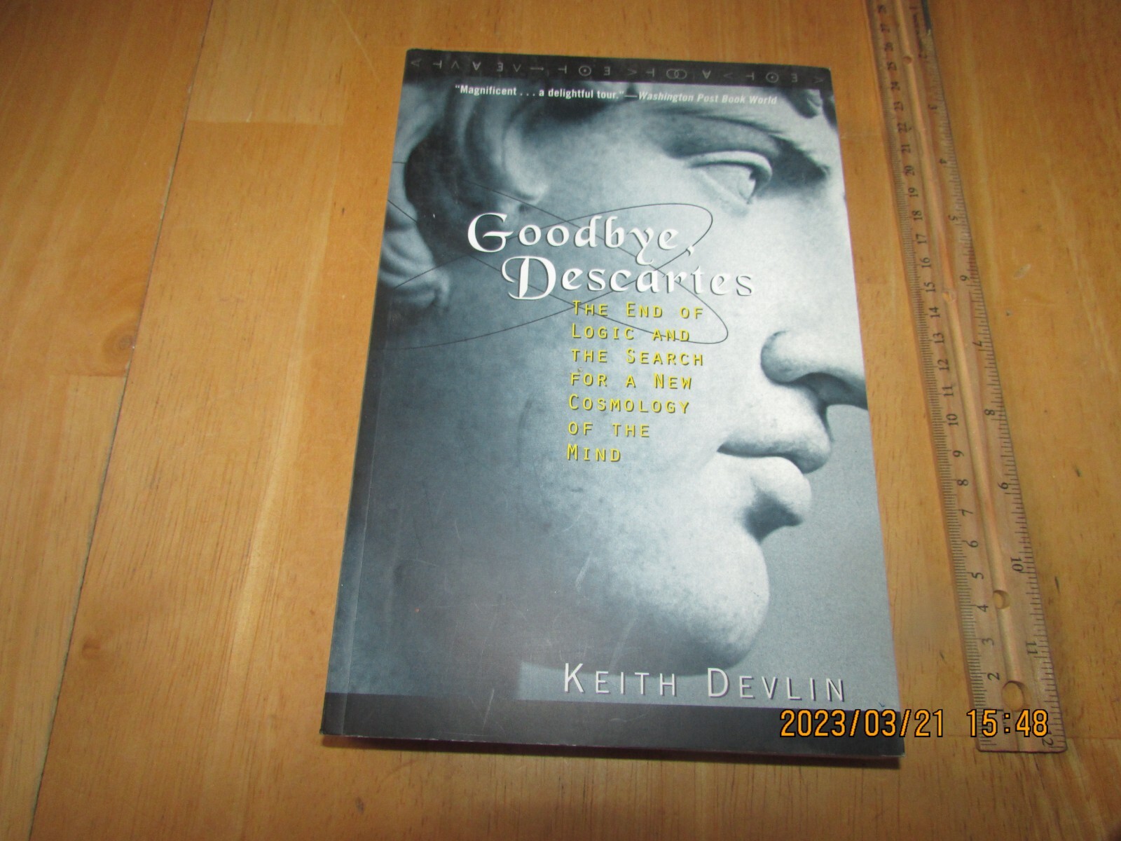 Goodbye, Descartes : The End of Logic and the Search for a New ...