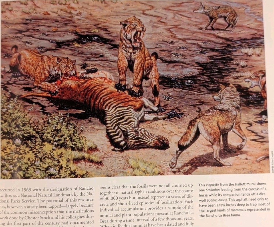 LIKE NEW! Rancho La Brea Tar Pits, Death Trap & Treasure Trove | eBay