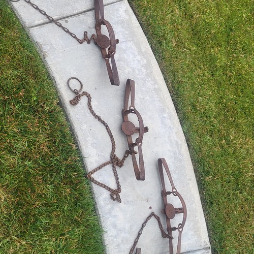 3 Antique Authentic hunting Traps | eBay