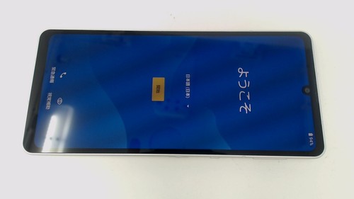 Sharp Aquos Sense 6 SH-M19 (Silver 64GB) Unlocked Dual Sim (Japan) | eBay