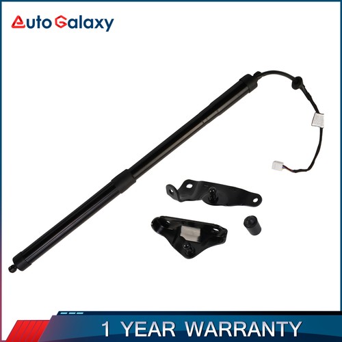Right Tailgate Power Hatch Lift Support For 2014-19 Toyota Highlander ...