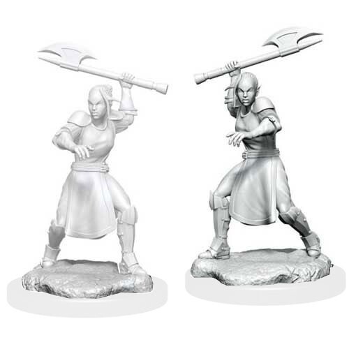 Critical Role Unpainted Miniatures: W01 Half-Elf Echo Knight and Echo ...