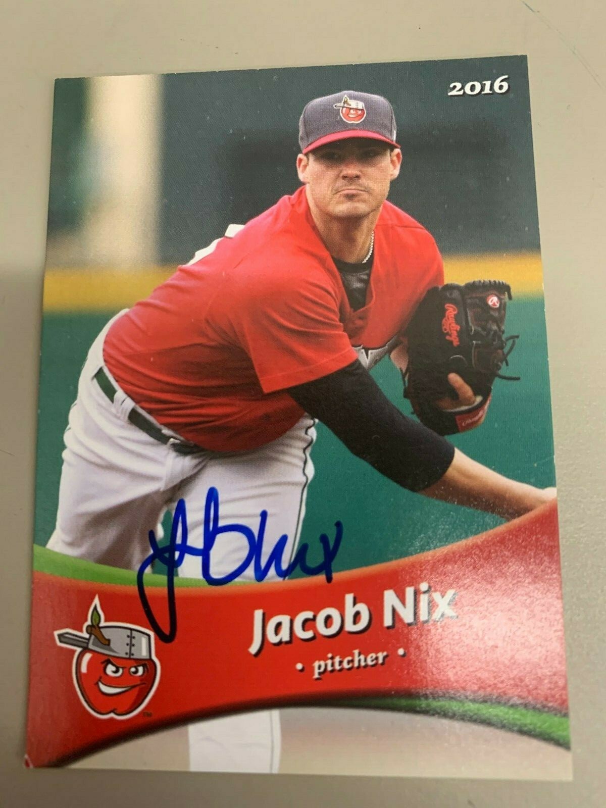 Jacob Nix 2016 Signed Fort Wayne Tin Caps Team Card | eBay