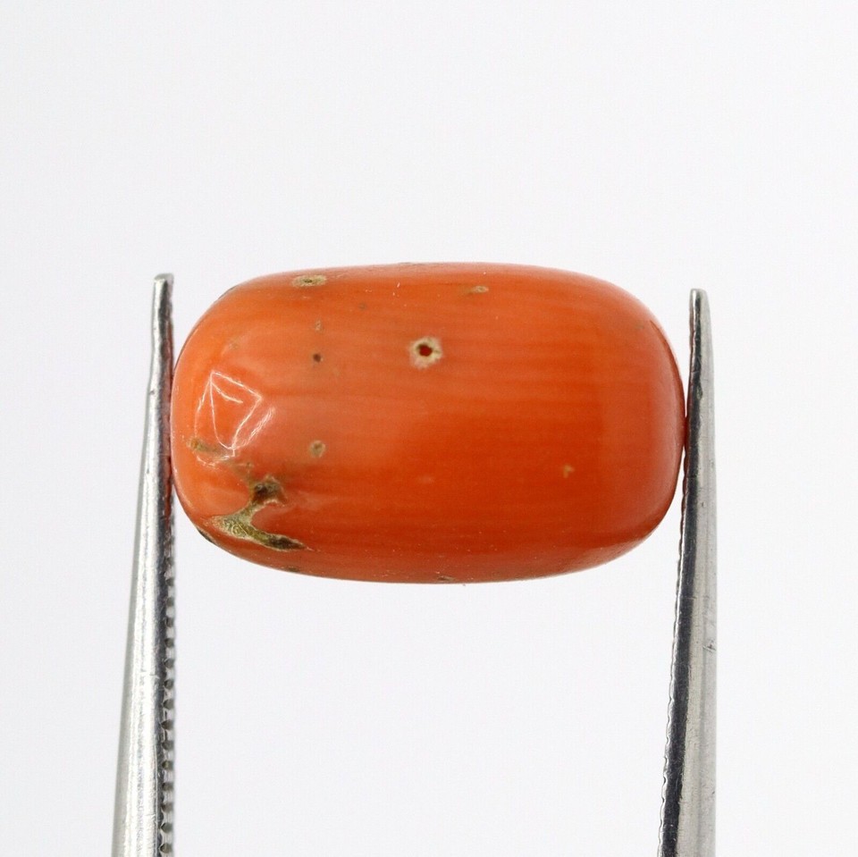 Untreated Natural Coral Elongated Shape Saffron Orange Color 3.68 Ct ...