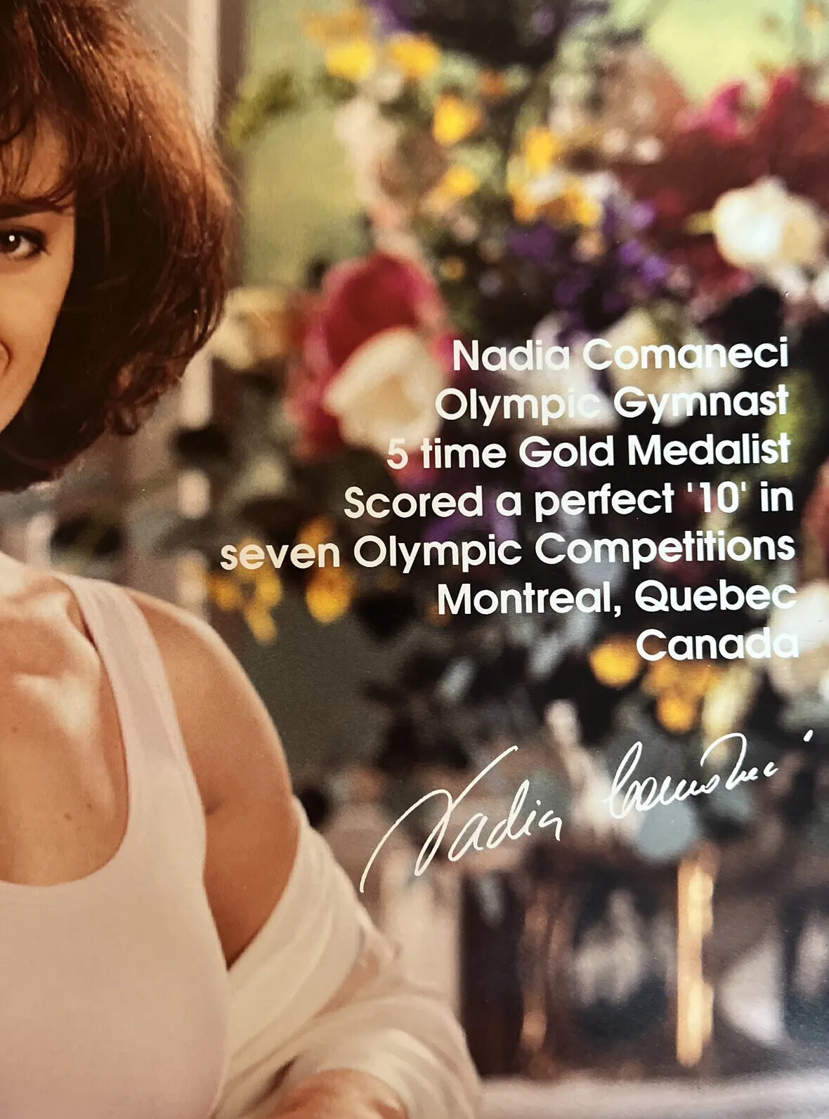 Nadia Comaneci Poster Olympic 5 Time Gold Medalist Jockey Signature Mint🦄 | eBay
