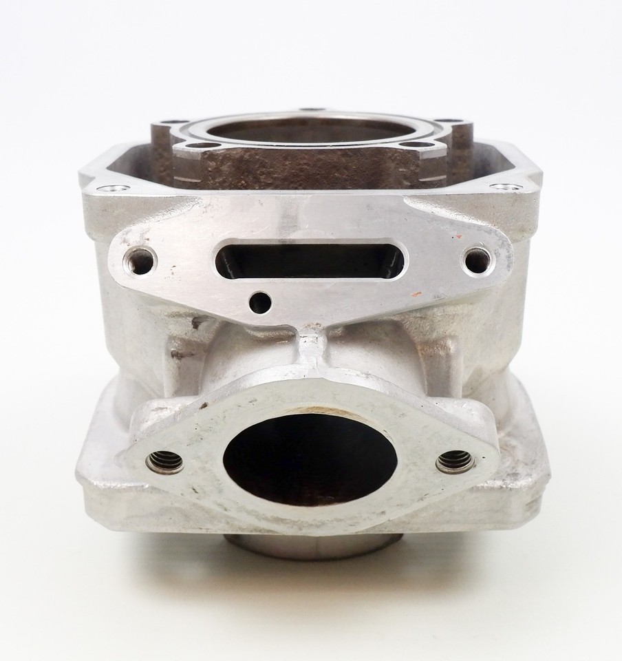 Senior Rotax Max EVO VT Kart Engine Cylinder / Barrel | eBay