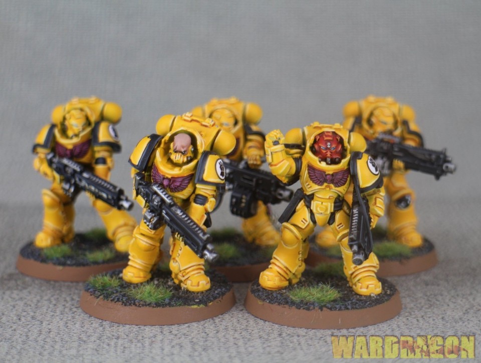 Warhammer 40K WDS painted Imperial Fists Heavy Intercessor Squad c99 | eBay