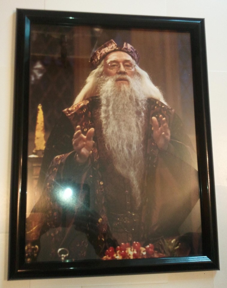 Harry Potter Poster #50 FRAMED Professor Albus Dumbledore Richard ...