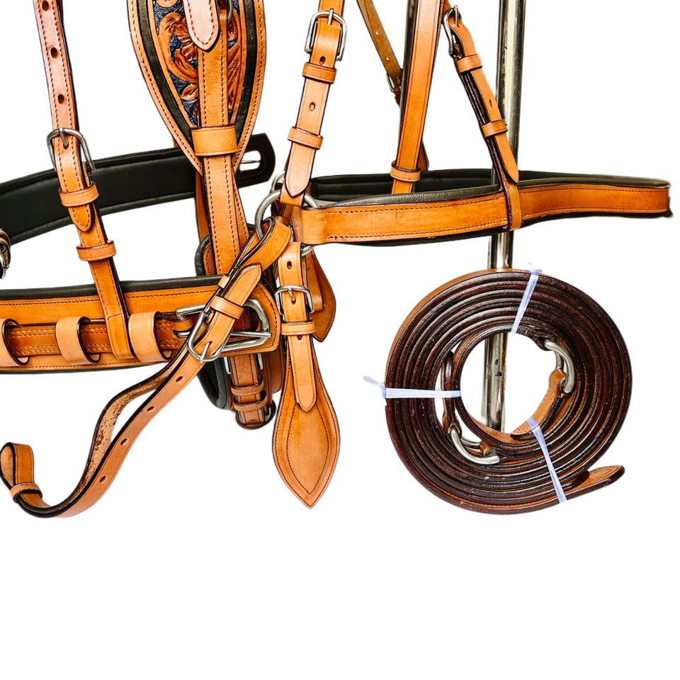 Stylish 3 tone Leather Driving harness for single horse -Natural/Royal ...