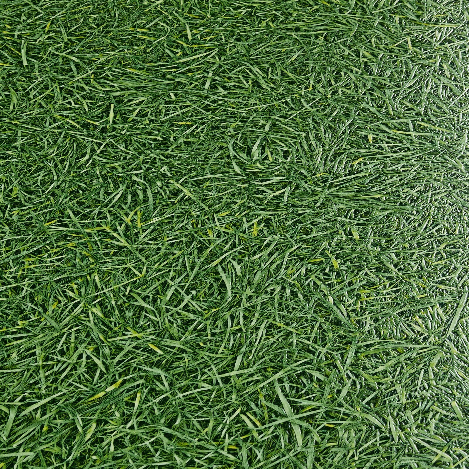 Realistic Grass Vinyl Flooring Bathroom Kitchen Conservatory Foam Sheet ...