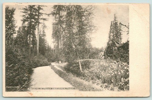 Tacoma Washington~Point Defiance Park~Path Among Trees~c1905 B&W ...