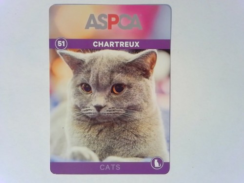 Chartreux Cat #51 2016 ASPCA Pets & Creatures Trading Cards Kitten LB3 ...