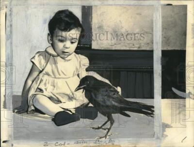 1948 Press Photo Gail Hogard with Pet Crow, St. Louis - pio33003 | eBay