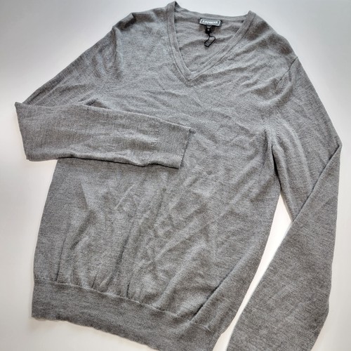 Express Men's Pullover Sweater V-neck Gray Merino Wool Size Large NEW W ...