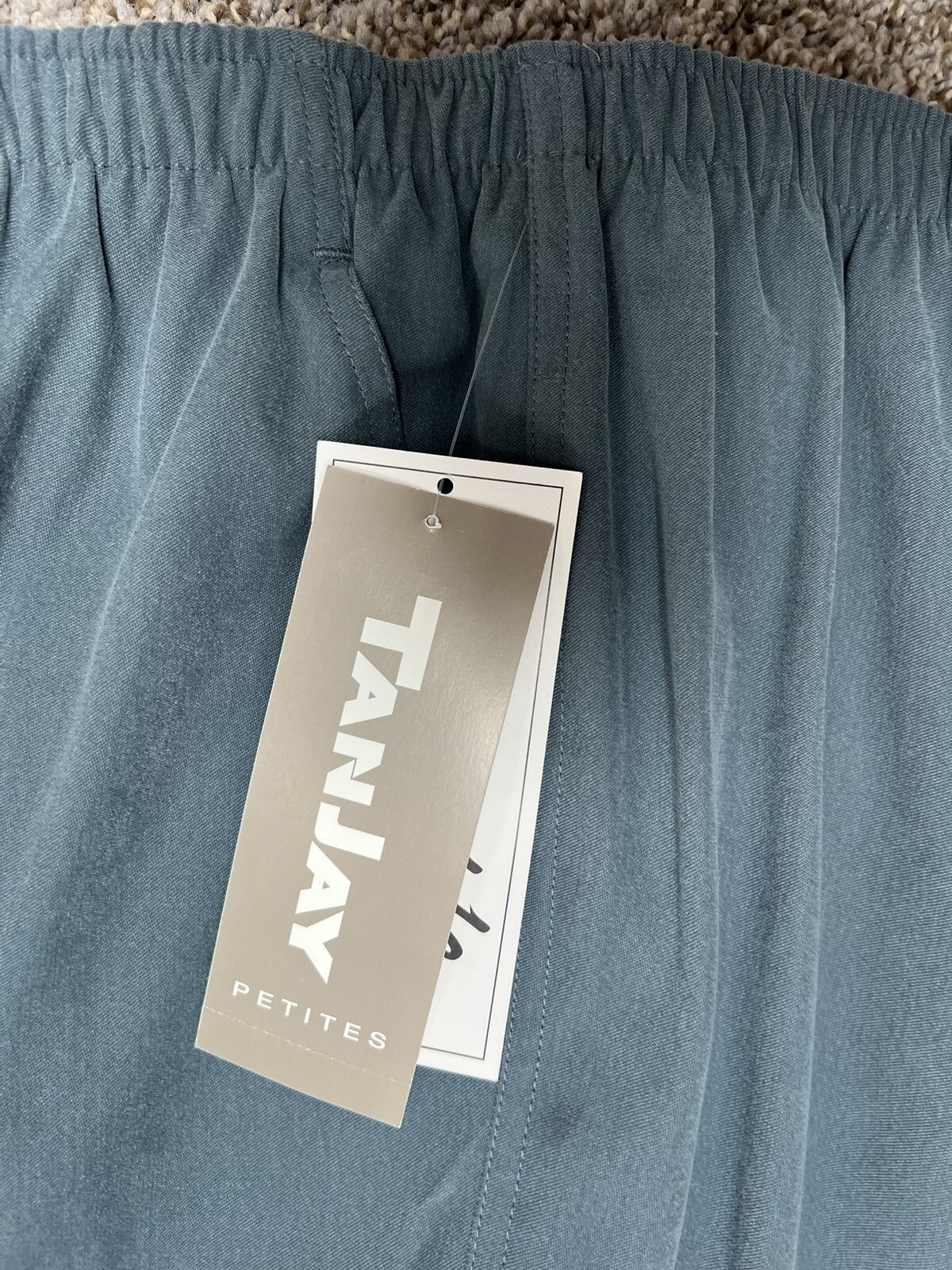 NWT Womens TANJAY Pull-On, Petite, Faux Suede, Casual Pants. Sz. 16S | eBay