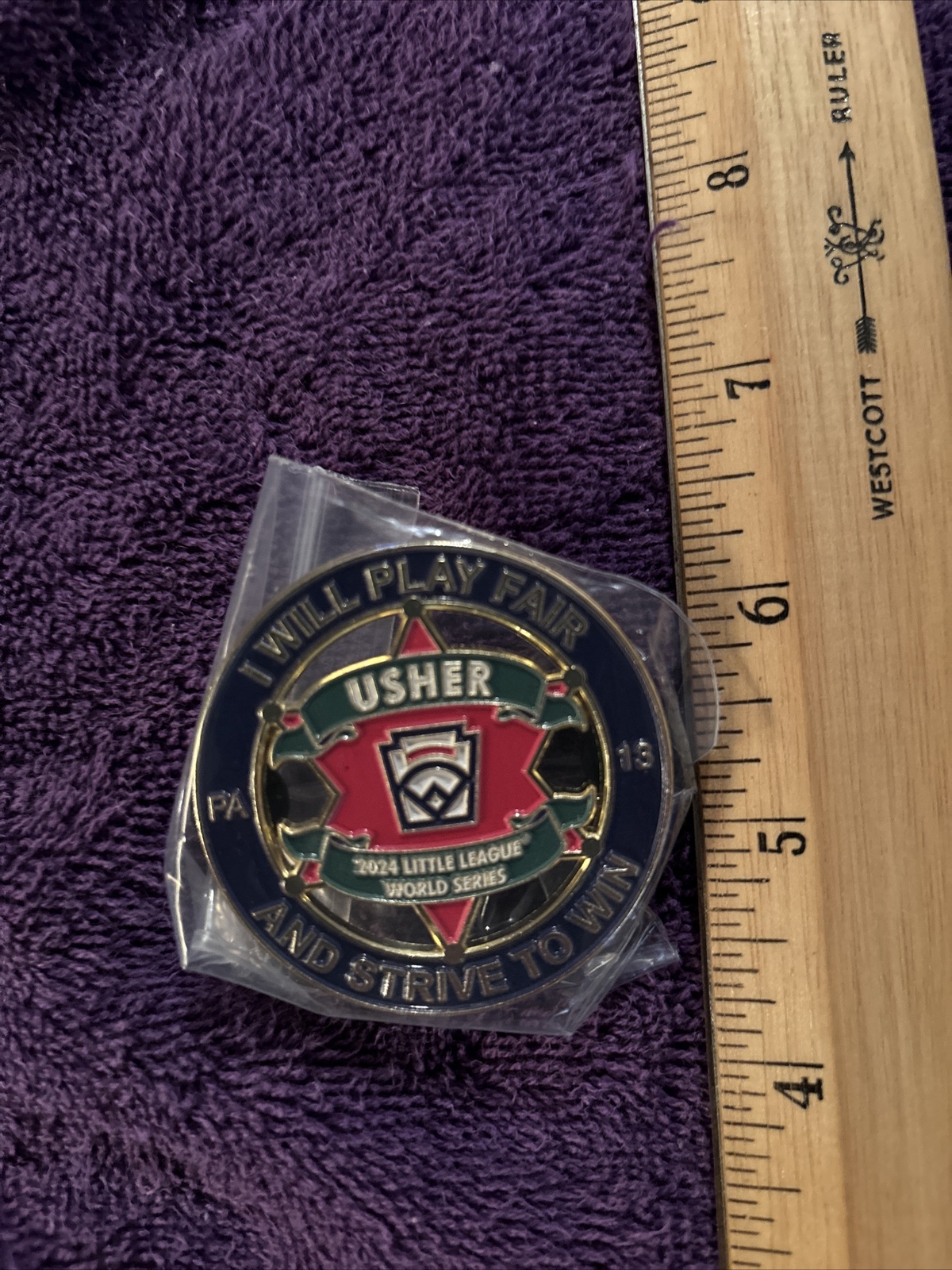 2024 Little League World Series Usher Pin | eBay