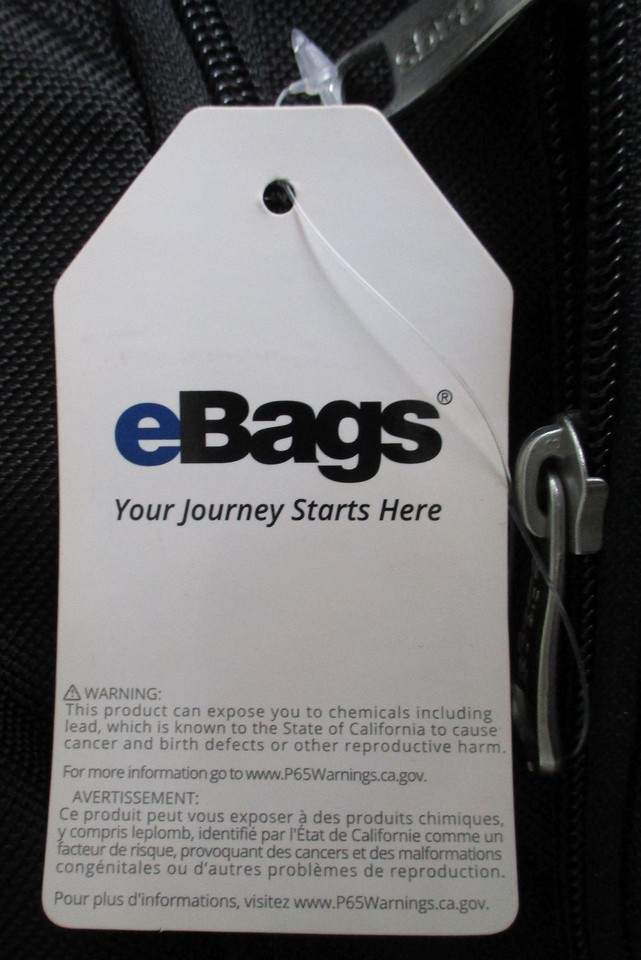 eBags Mother Lode Travel Backpack Convertible Expandable Luggage Bag ...