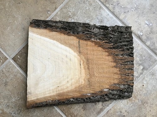Live Edge Organic Poplar Wood Slab Rustic for Woodworking Crafts ...