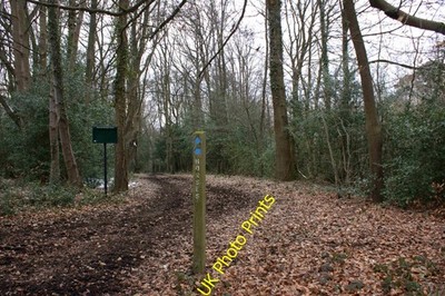 Photo A3 Eastern entrance to Chipperfield Common Bucks Hill c2013 | eBay UK
