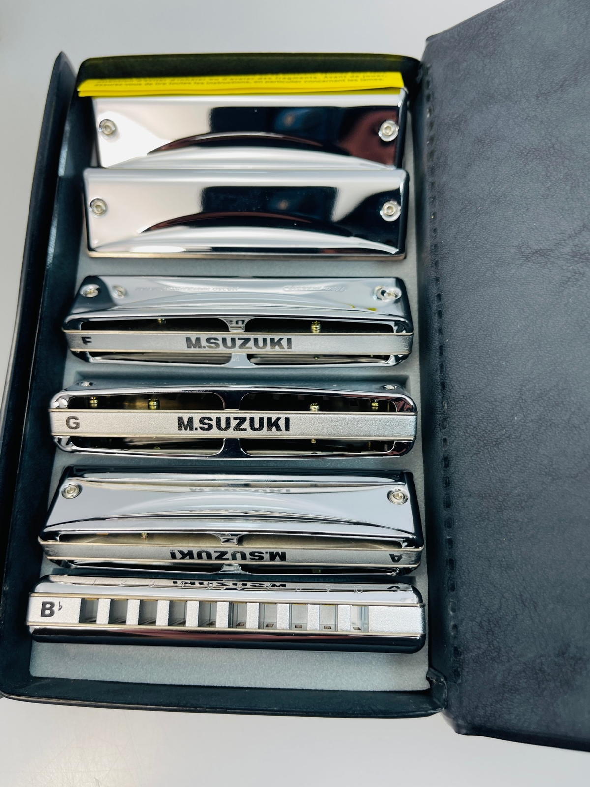 Suzuki MR-350 Promaster Deluxe 10-Hole Diatonic Harmonica, 6-Piece Set ...