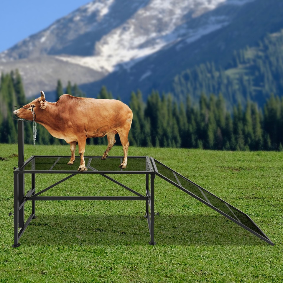 Adjustable Metal Stand w/ Ramp for Sheep Goats Shearing Hoof Trimming ...
