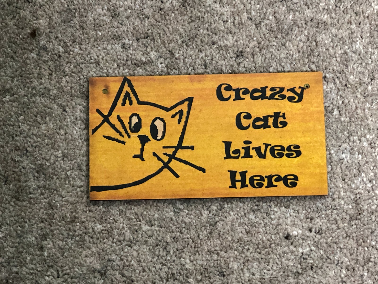 Funny Cat Signs by Image2 | eBay UK