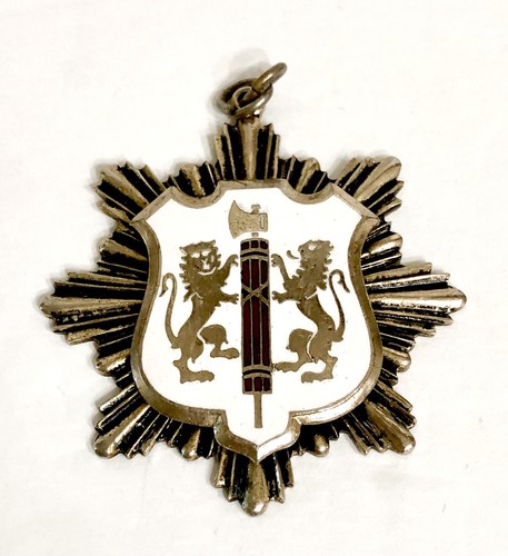 Vintage Lion Crest Coat Of Arms Pendant - Heraldic Standing Lions | eBay