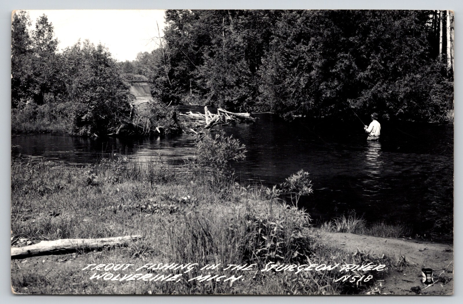 Postcard RPPC Trout Fishing In The Sturgeon River Wolverine Michigan ...