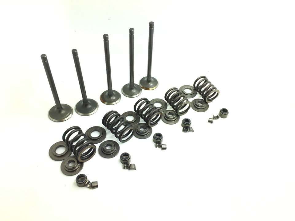 Engine Complete Valve Kit Set ATV UTV750 HiSun Massimo,Bennche Vector ...