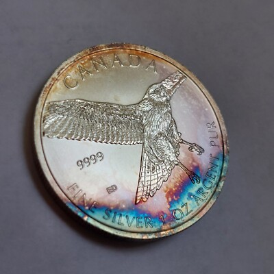 2015 1 oz Canadian Silver Red-Tailed Hawk .999 Fine Silver Coin | eBay
