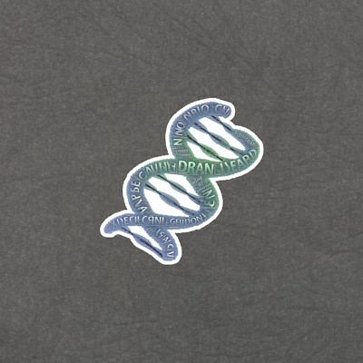 Unique Leaping Rabbit Word Art Sticker - Inspirational Animal Decal ...