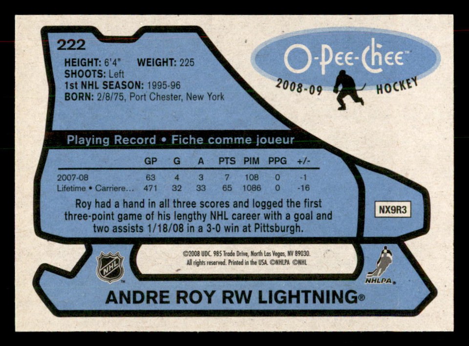 2008-09 O-Pee-Chee 1979-80 Retro #222 Andre Roy Tampa Bay Lightning | eBay