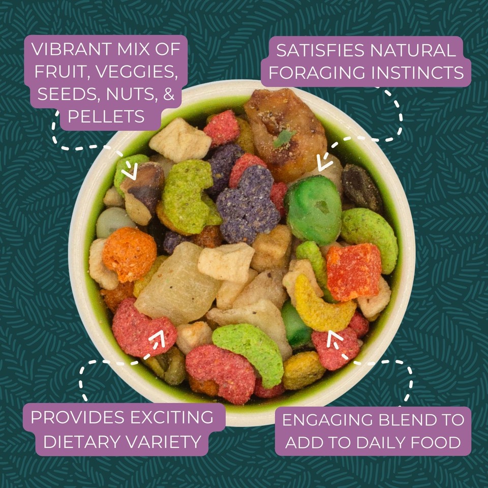 Premium 2lb Bird Food Blend with Seeds Fruits Pellets for Small Birds ...