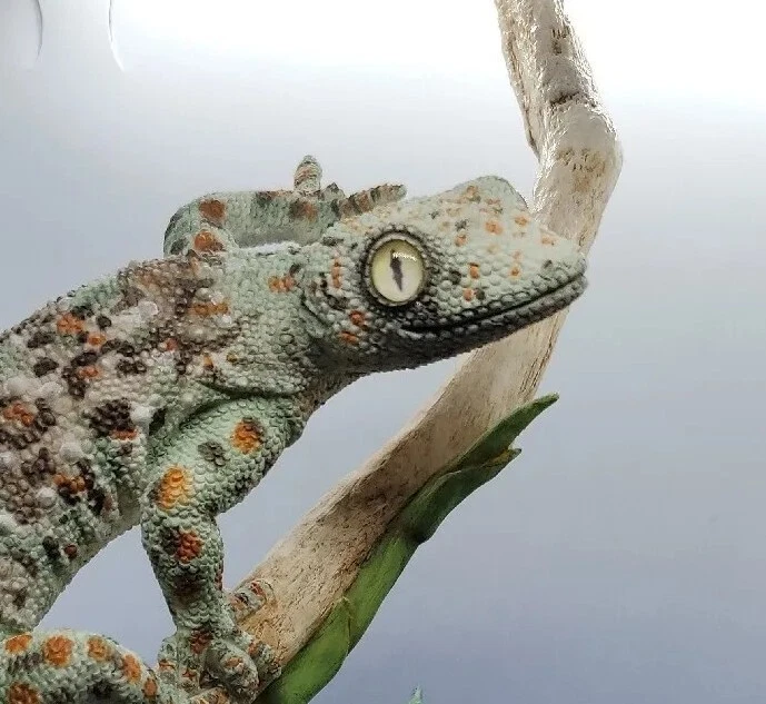 Lizard Tongue Texture