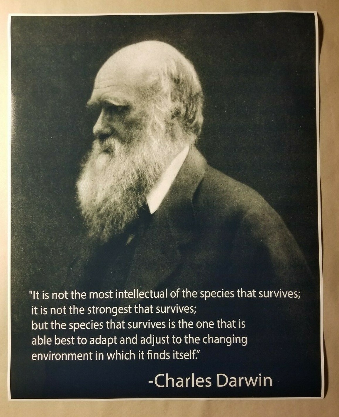 Charles Darwin Quotes On Change