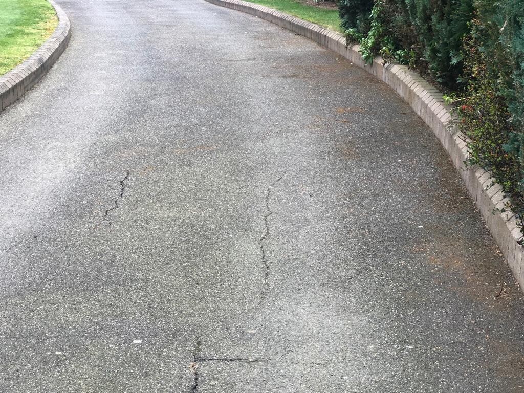 Tarmac Drive Patio Roof Biocide GREEN & ALGAE Killer (Previously Moss ...
