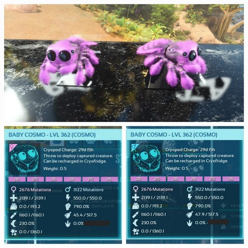 ARK ASCENDED PVE OFFICIAL PAIR BABY COSMO FULL COLOR #215 TOP STATUS PC ...