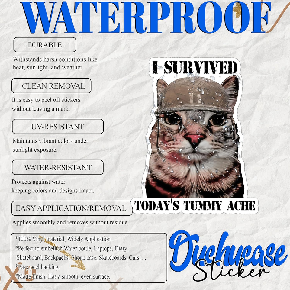 Pack 3 PCS 3" - I Survived Today’S Tummy Ache Cat Meme Sticker Funny ...